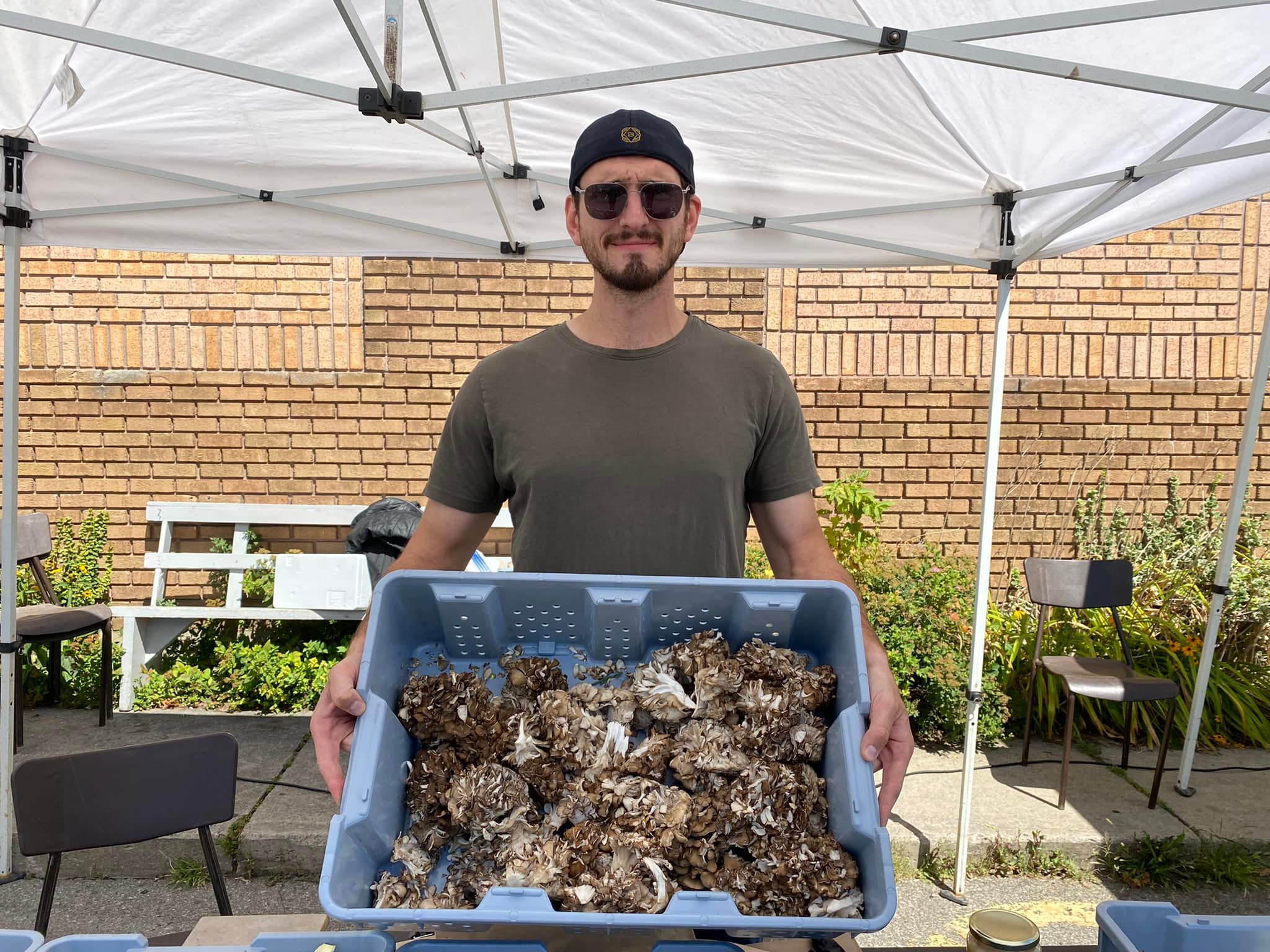 Naturally Sainte-Anne - Sainte-Anne-de-Bellevue